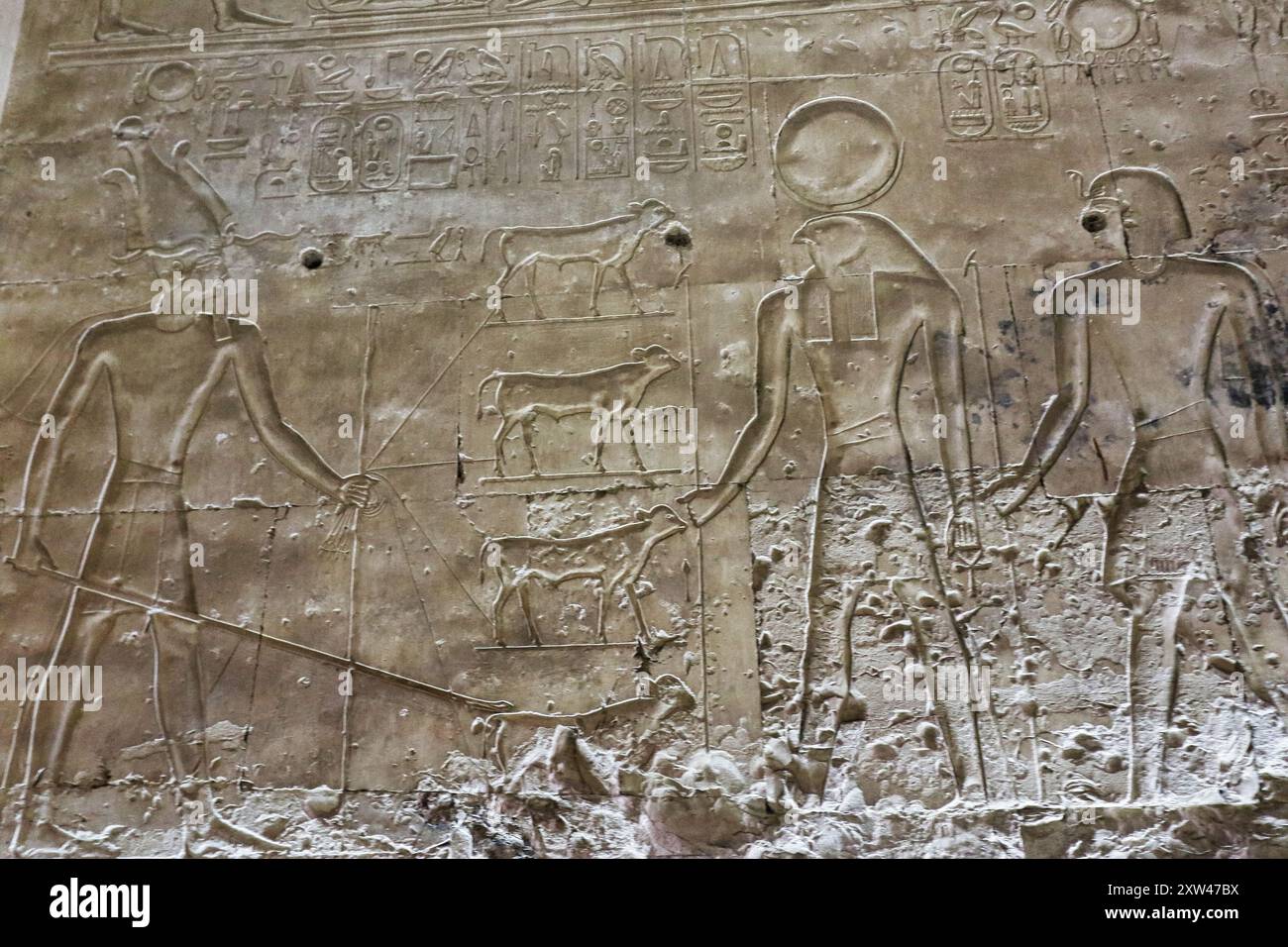 Pharoah Seti I makes offerings of cows to the God Horus in this wall ...