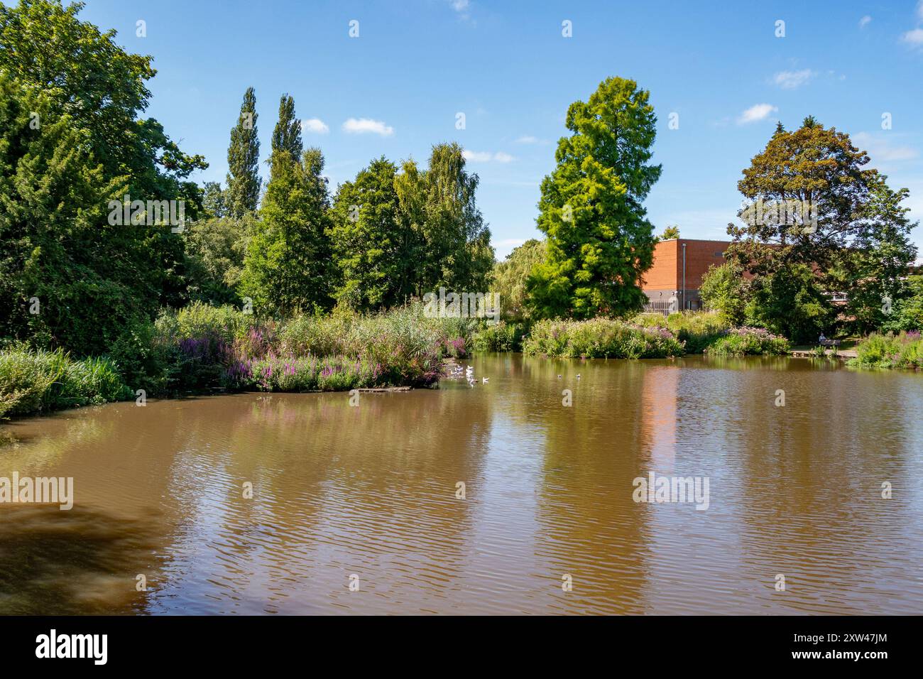 South pond midhurst hi-res stock photography and images - Alamy