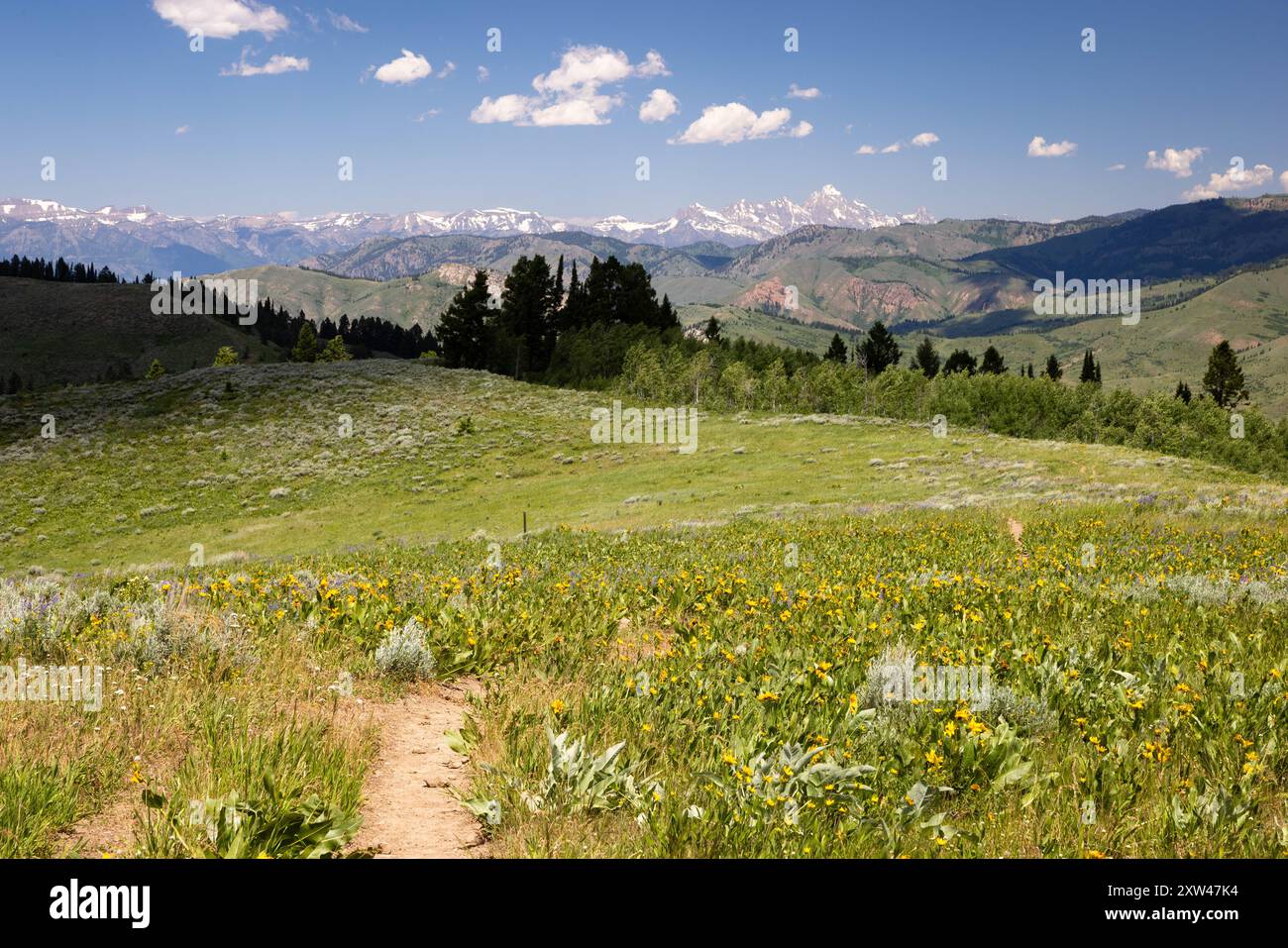 The Elk Ridge Trail winding along the crest of the ridge as the Teton ...