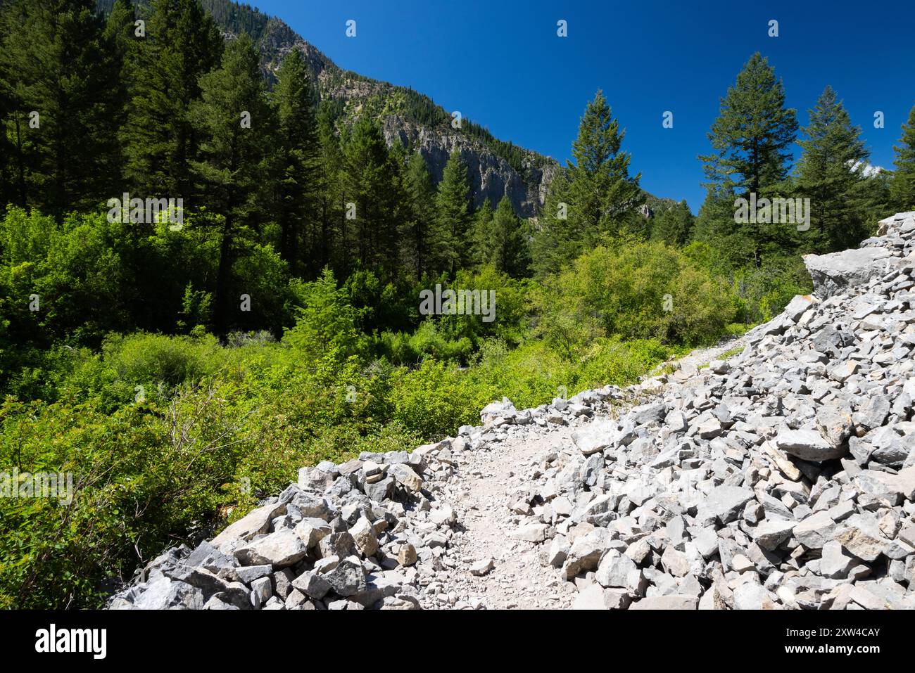 The Lower Palisades Lake Trail cutting through a boulder field in the ...