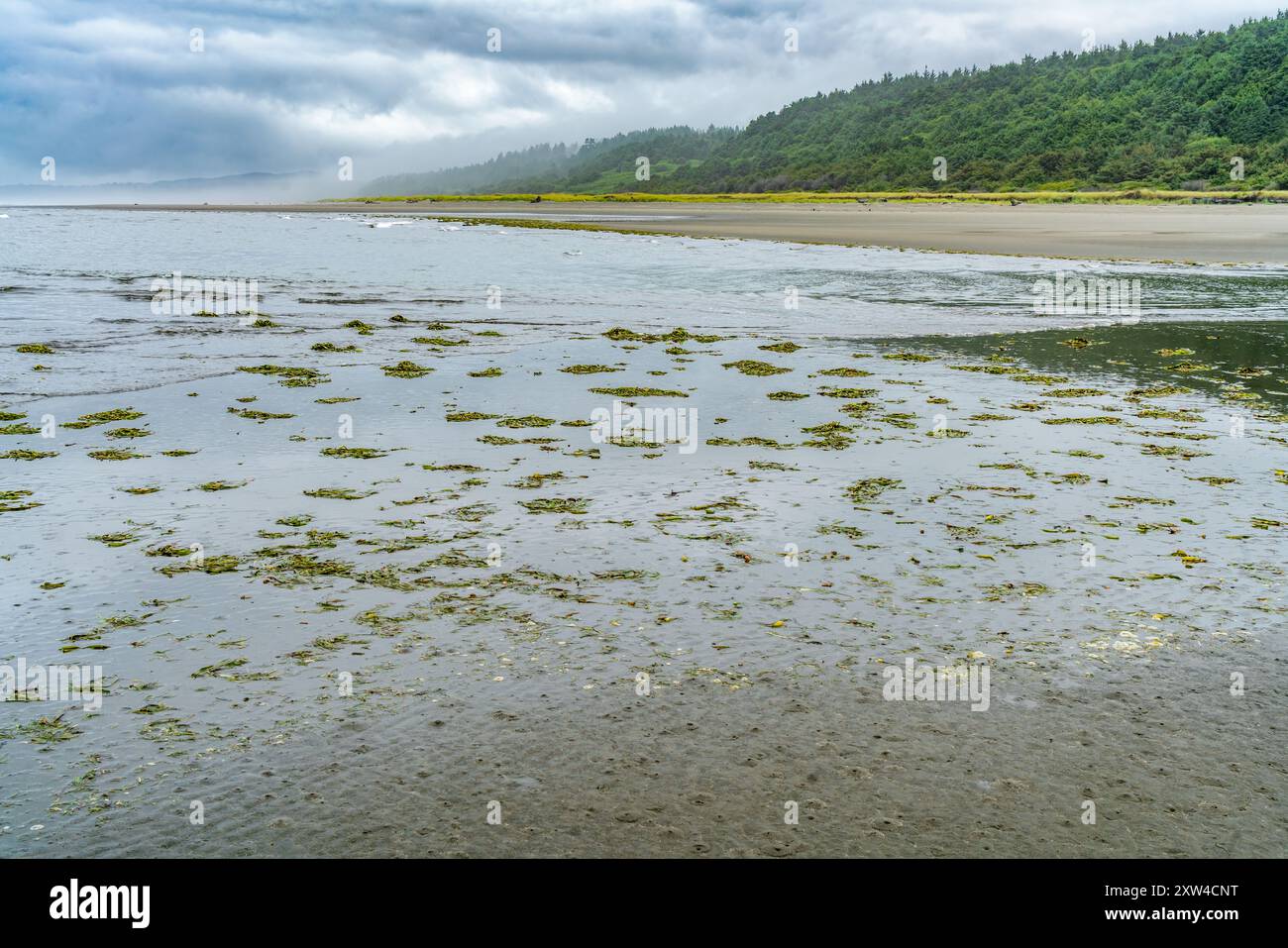 Moclips washington hi-res stock photography and images - Alamy