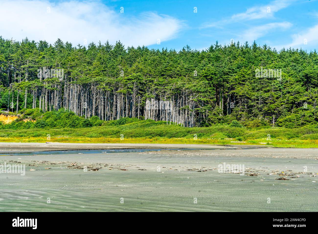 Moclips hi-res stock photography and images - Alamy