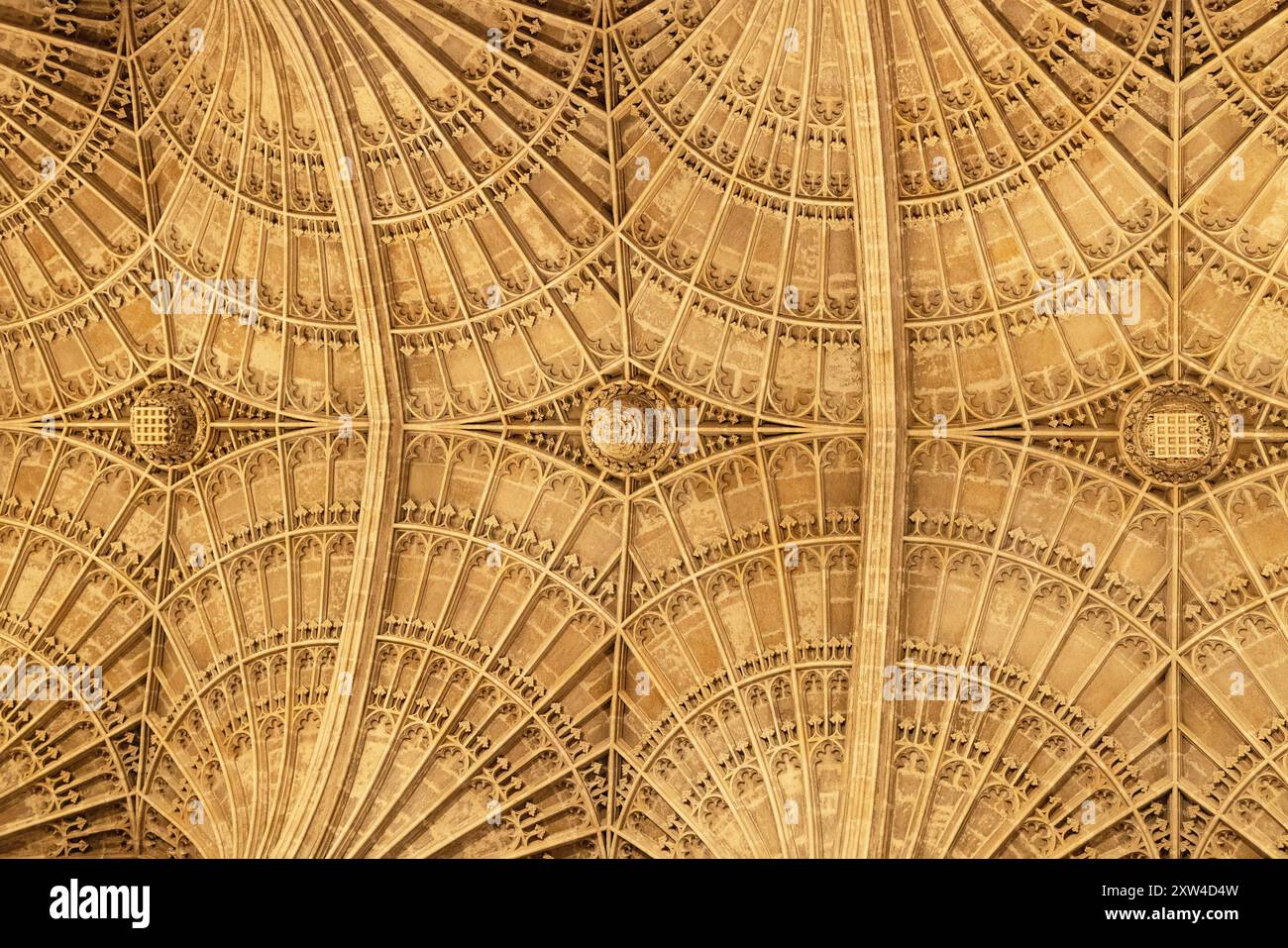 Gothic architecture interior hi-res stock photography and images - Alamy