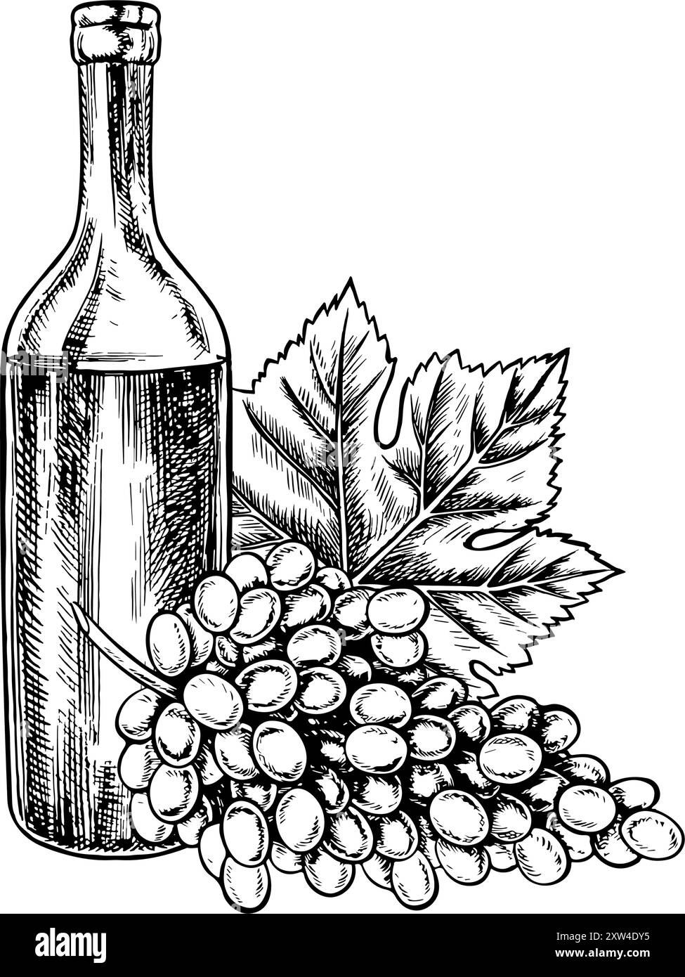 A bottle of wine and a bunch of grapes. Vector graphics, black and ...