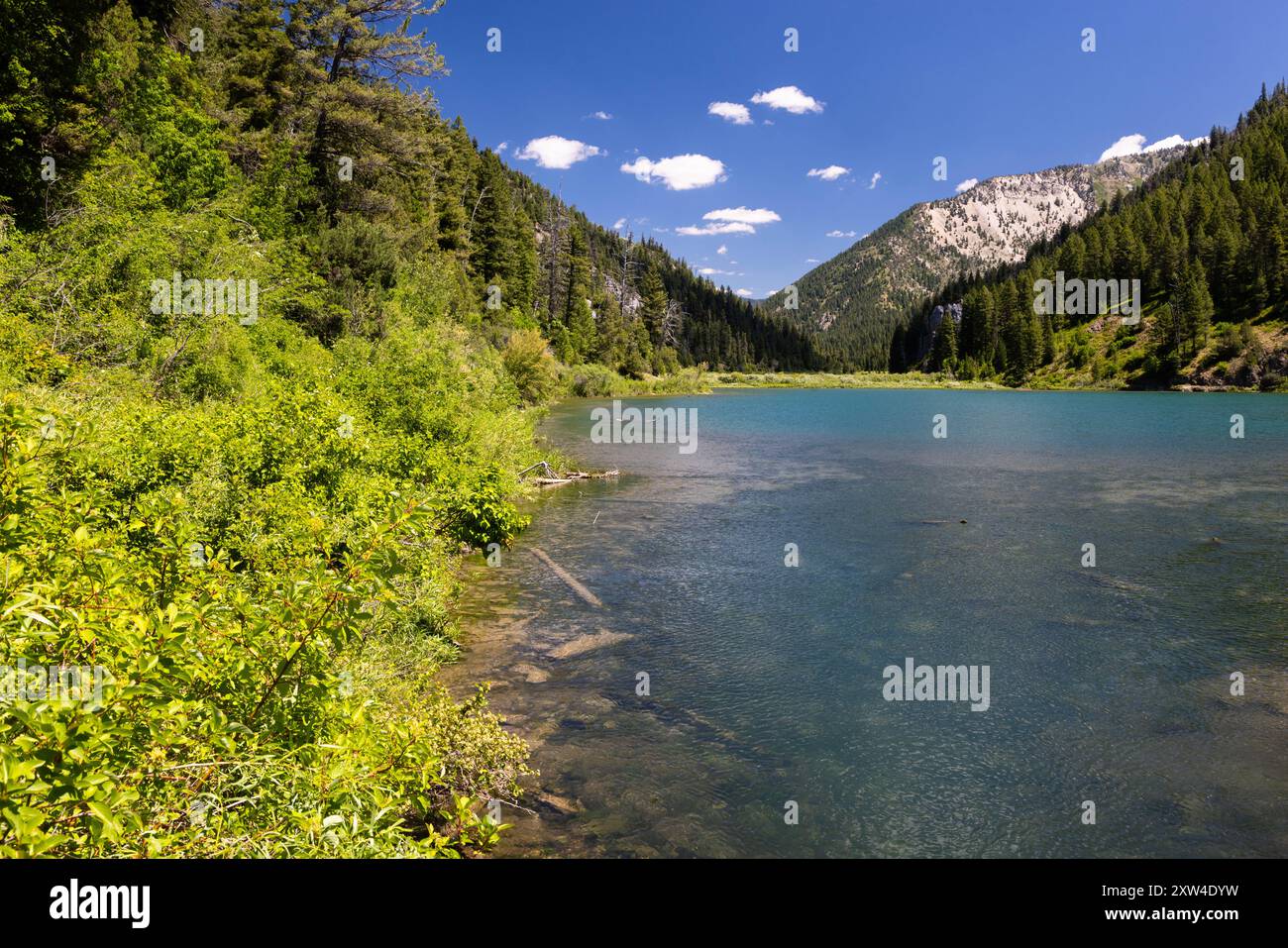 Lower Palisades Lake stretching back toward Palisades Mountain. Caribou ...