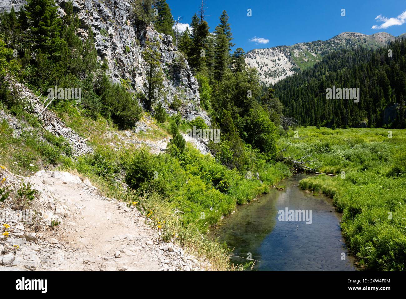 Wetlands along Palisades Creek winding below the Upper Palisades Lake ...
