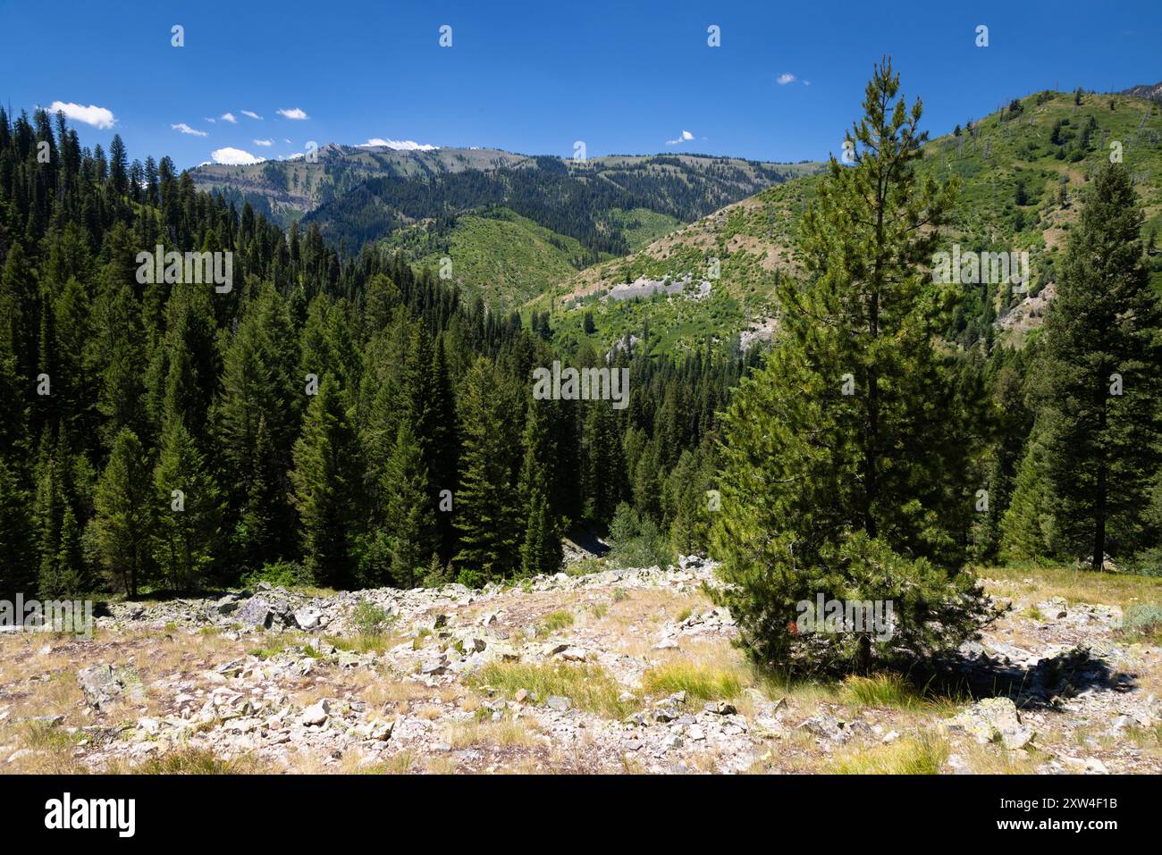 An overlook along the Waterfalls Canyon Trail providing a stunning view ...