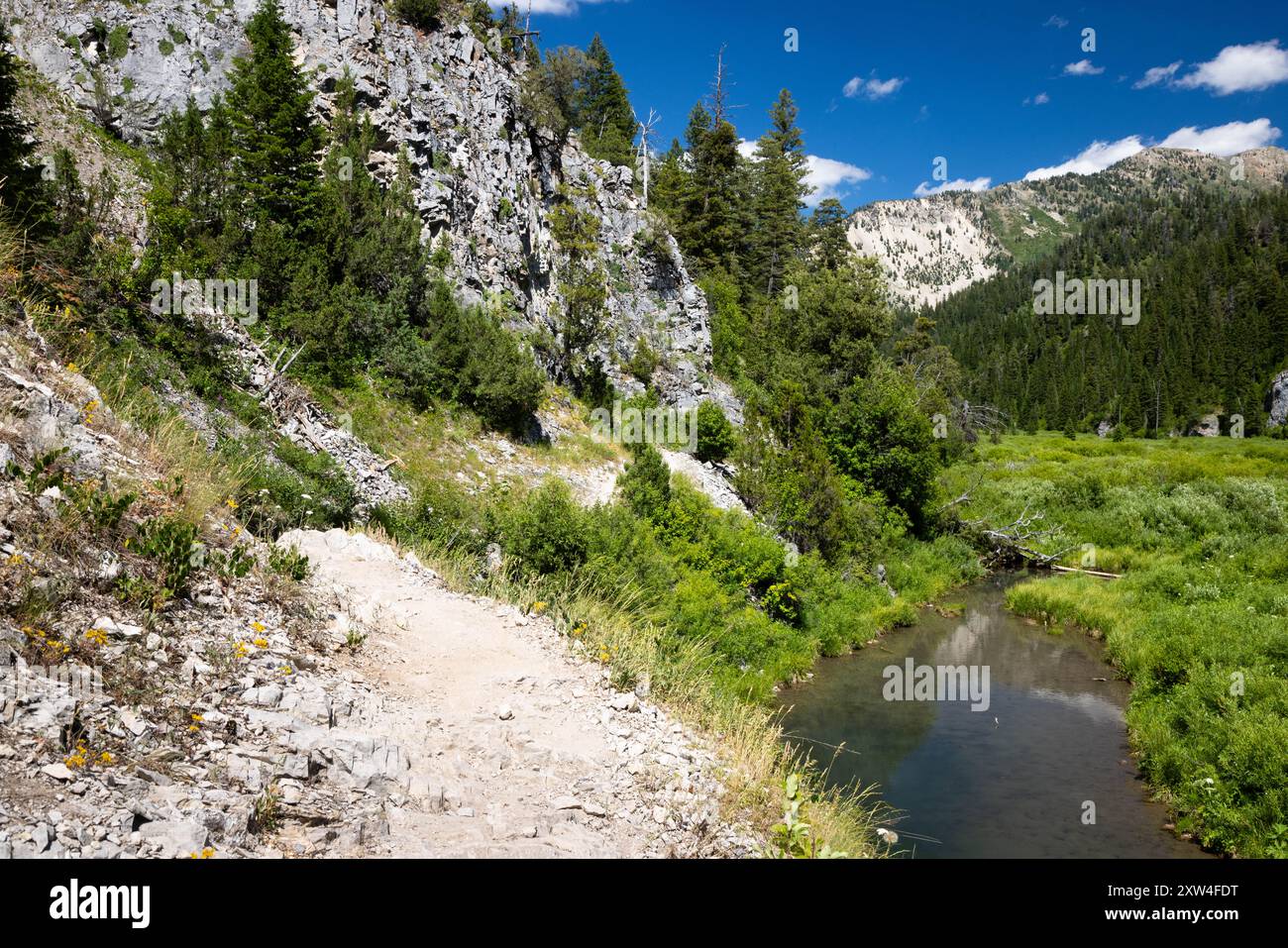 The Palisades Creek Trail winding below cliffs above wetlands lining ...