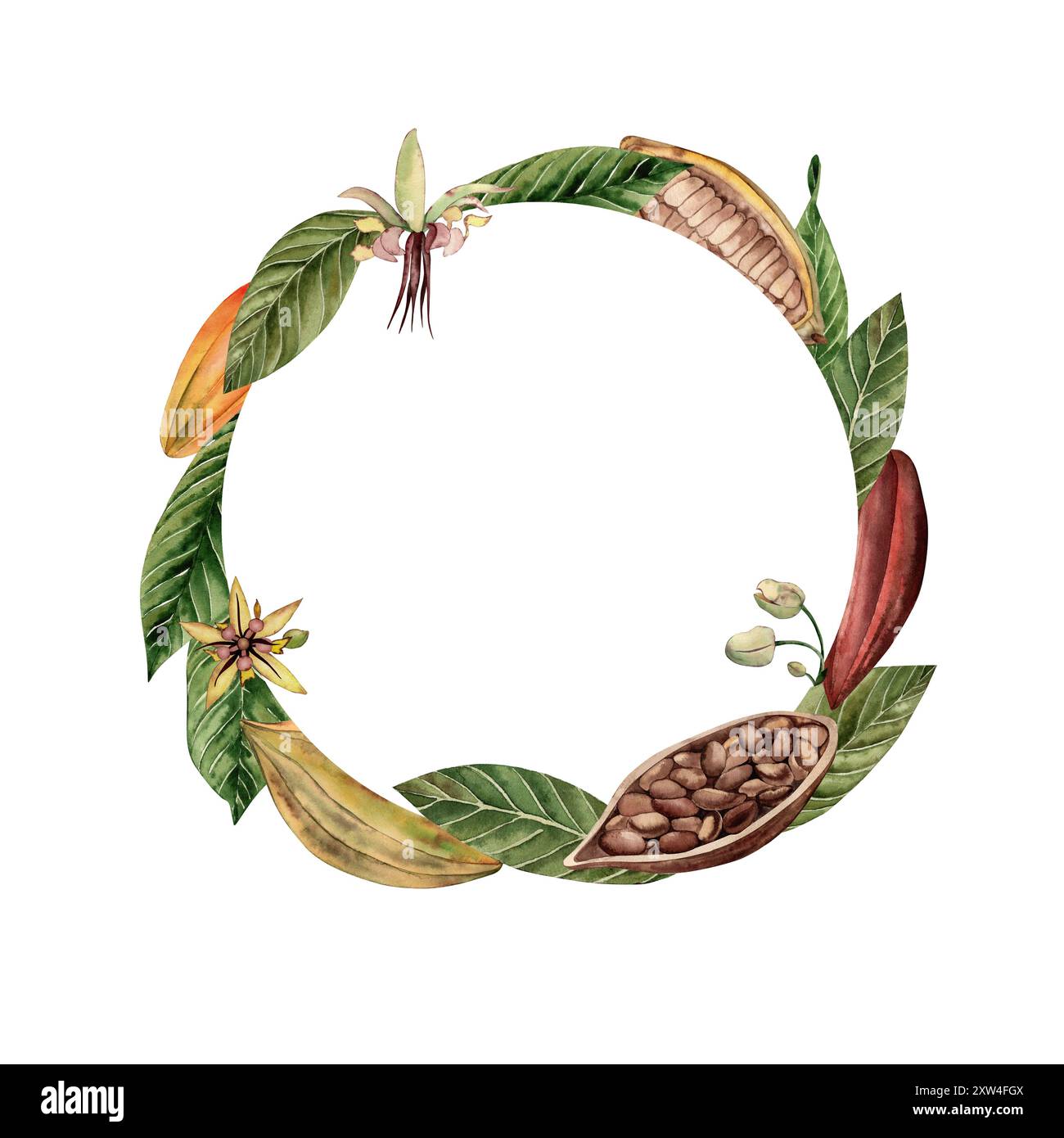 Cocoa beans nigeria hi-res stock photography and images - Alamy