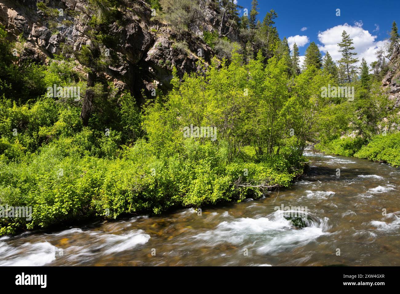 Palisades Creek bending around large limestone cliffs in the Snake ...