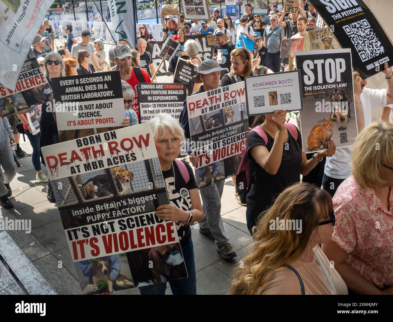 London, UK. 17 Aug 2024. 'Born on Death Row at MBR Acres'.Several ...
