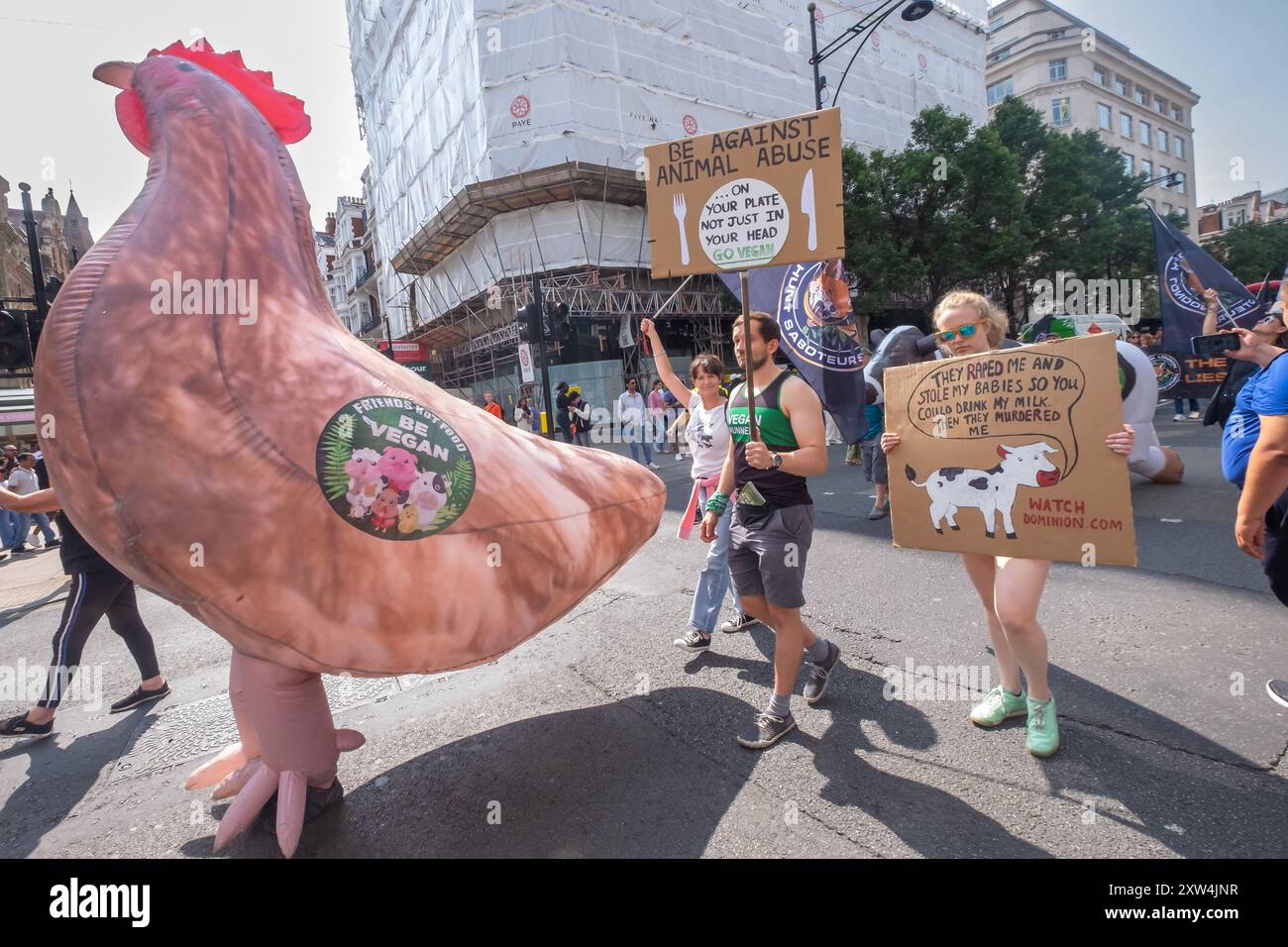 Cargill chicken hi-res stock photography and images - Alamy