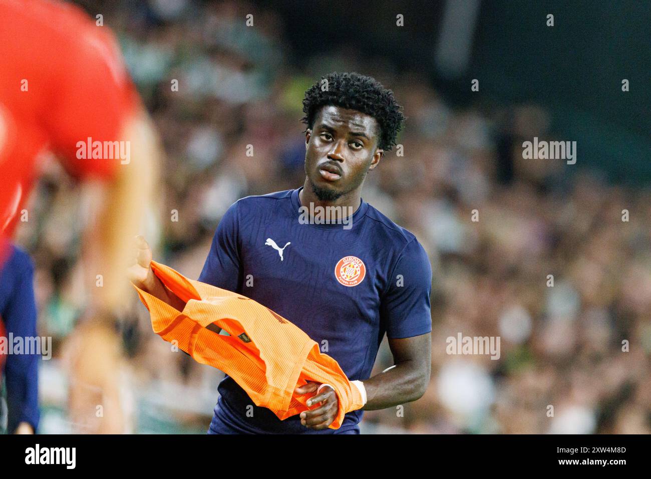Misehouy hi-res stock photography and images - Alamy