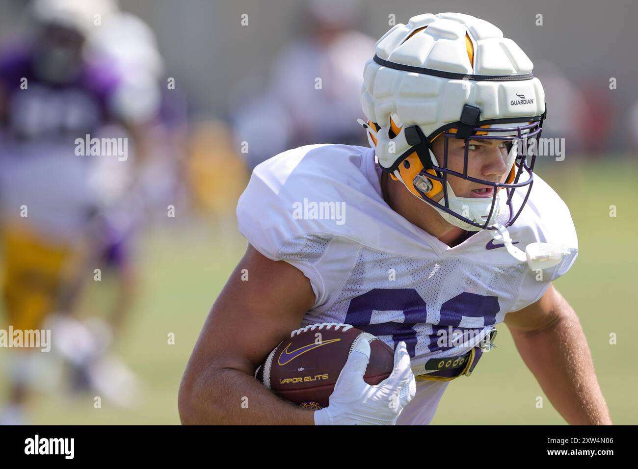 August 17, 2024: LSU tight end Mason Taylor (86) looks for running room ...