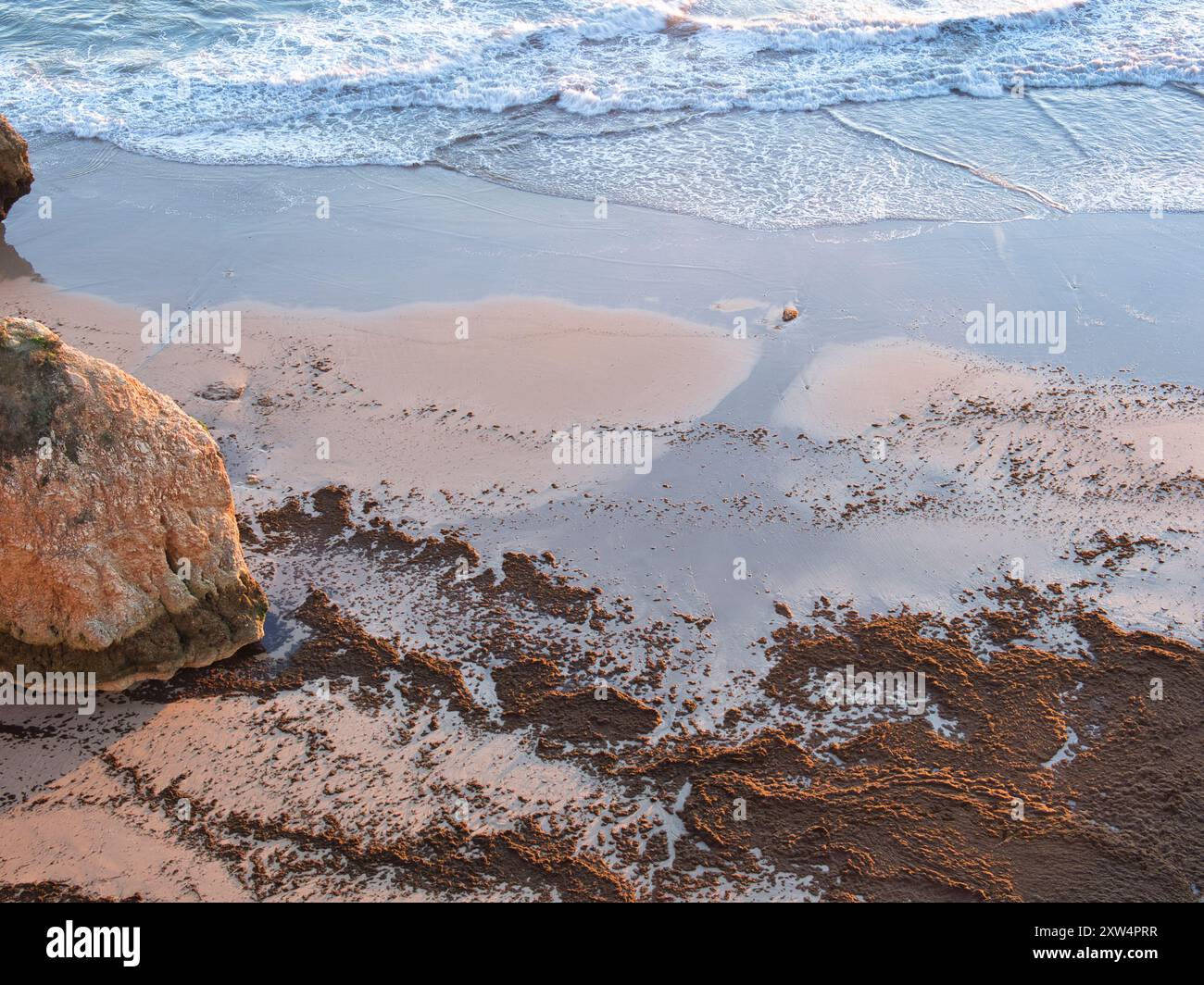 Sand and Seaweed invasion on a Tranquil Beach in Algarve. Global ...