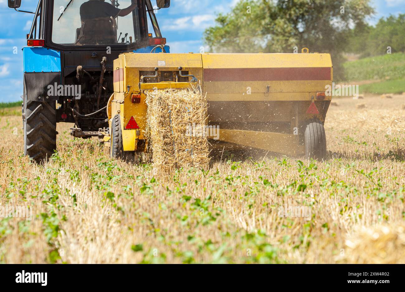 Tractor loading feed straw bales hi-res stock photography and images ...