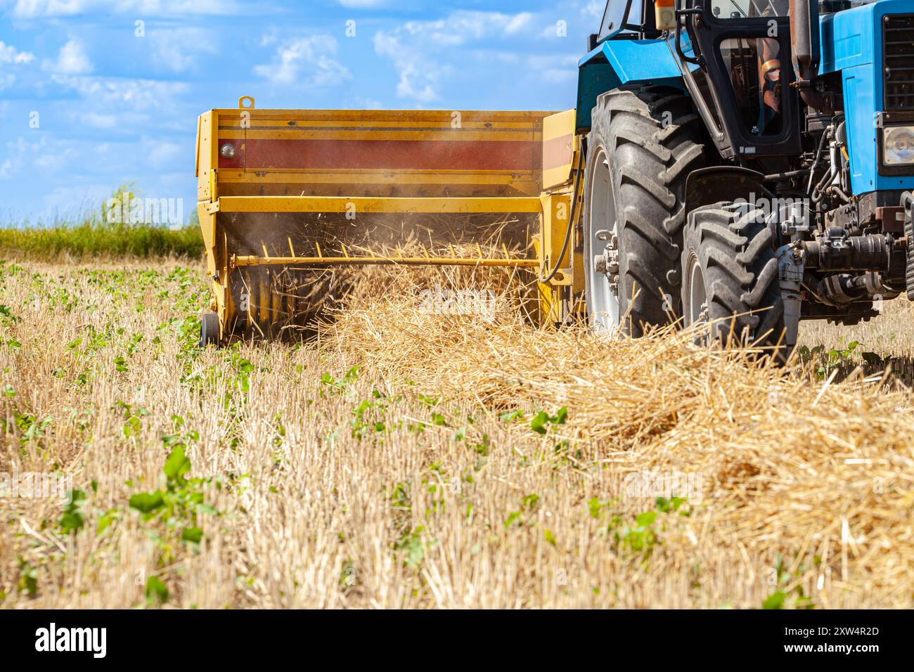 A tractor with a trailed bale making machine collects straw rolls in ...