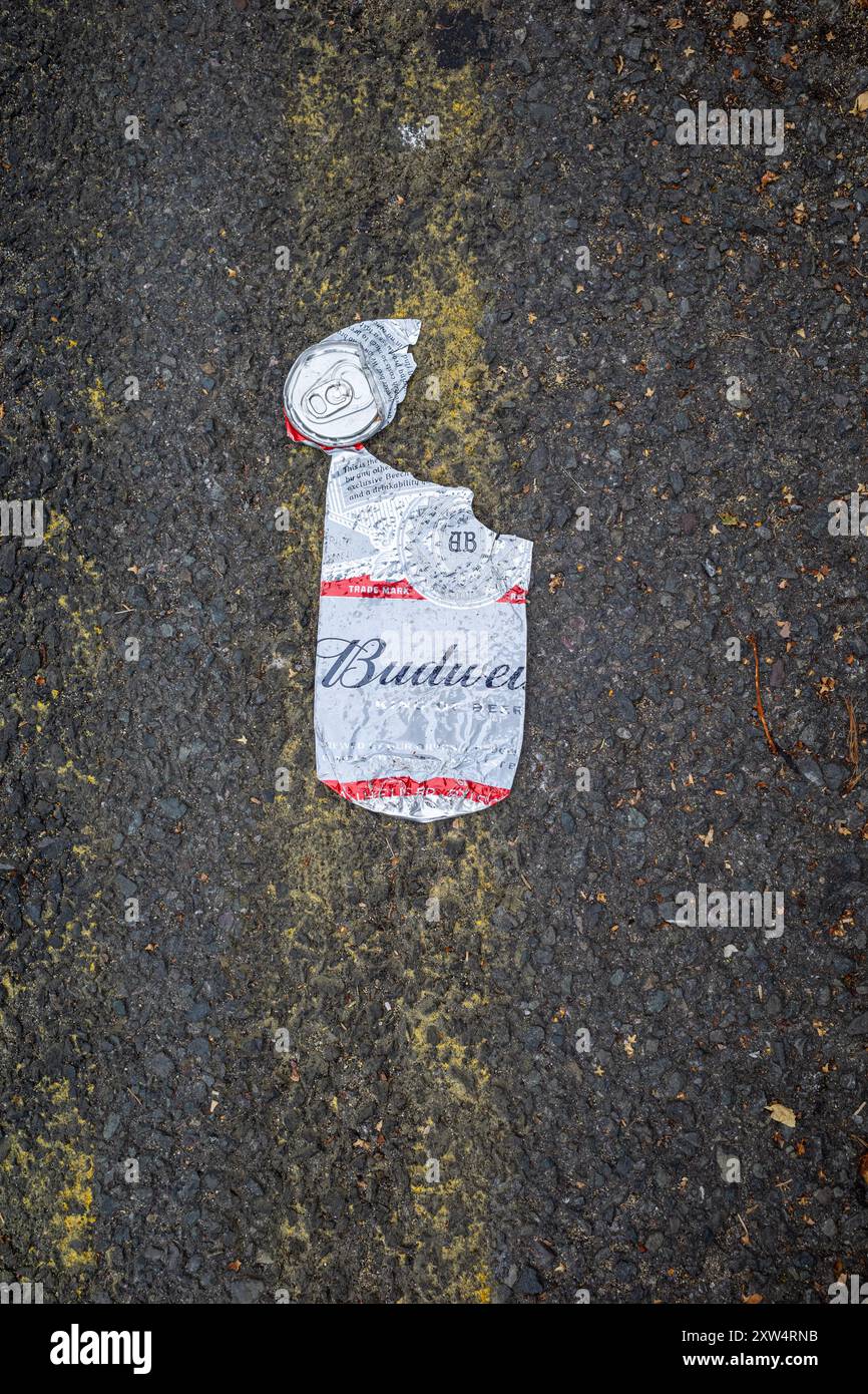 Crumpled squashed Budweiser beer cans on the ground Stock Photo - Alamy