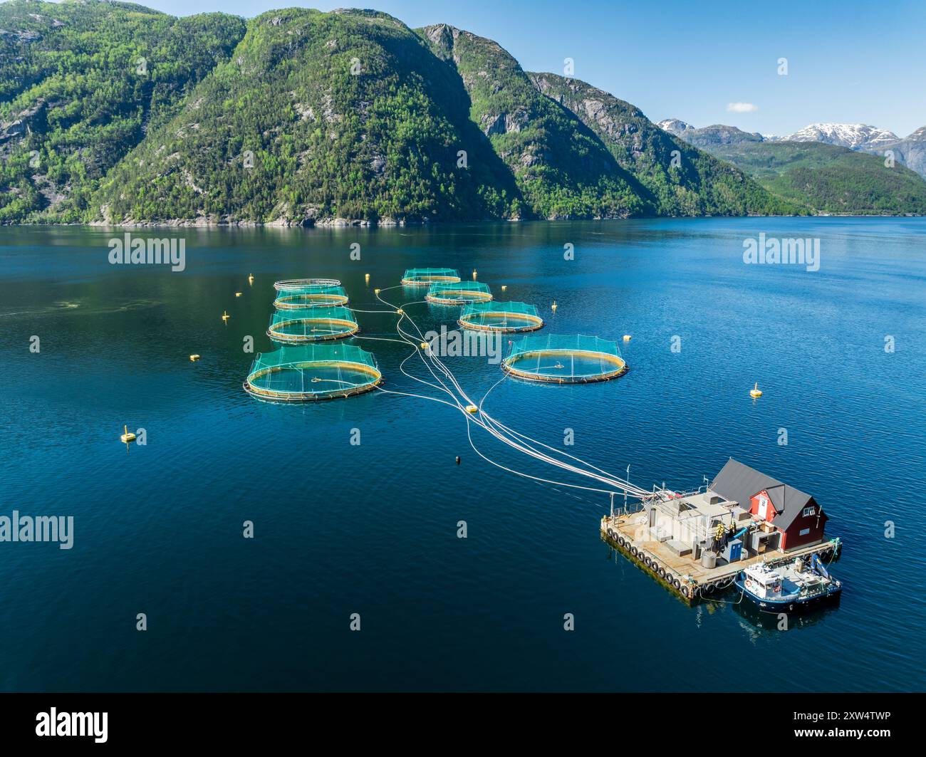 Floating cages of a salmon farm, Hardangerfjord near Bondhus, aerial ...