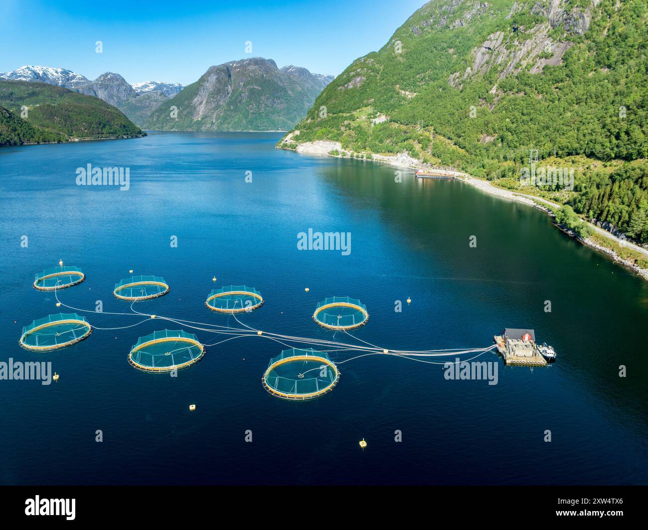 Floating cages of a salmon farm, Hardangerfjord near Bondhus, aerial ...