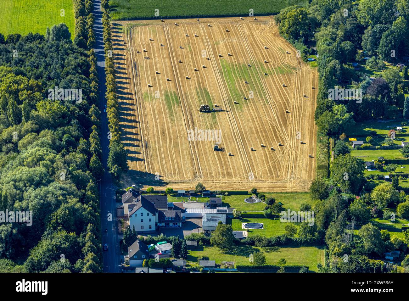 Bauernhofweg hi-res stock photography and images - Alamy