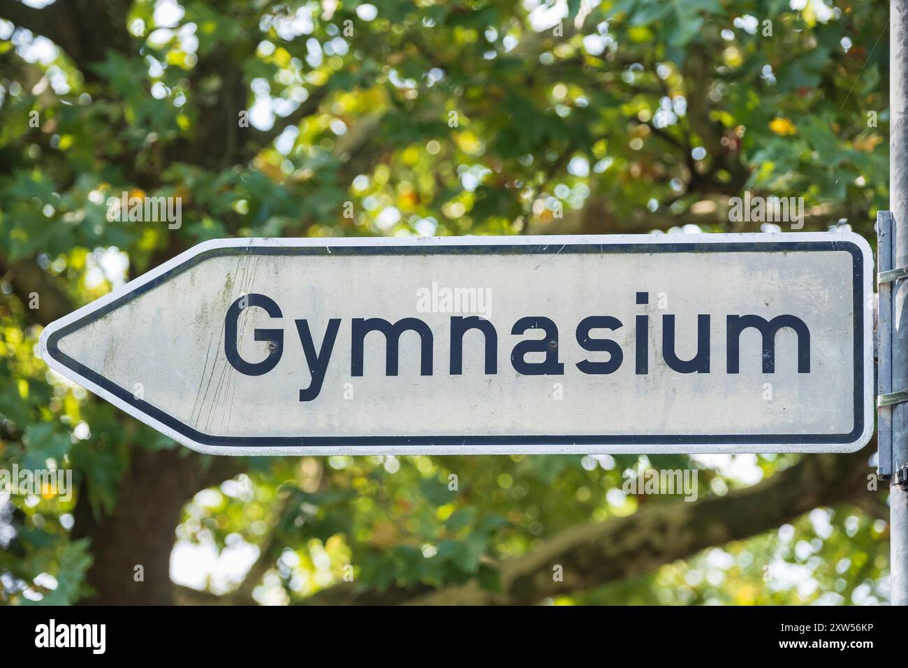 Wegweiser zeigt den Weg zu einem Gymnasium *** Signpost shows the way ...