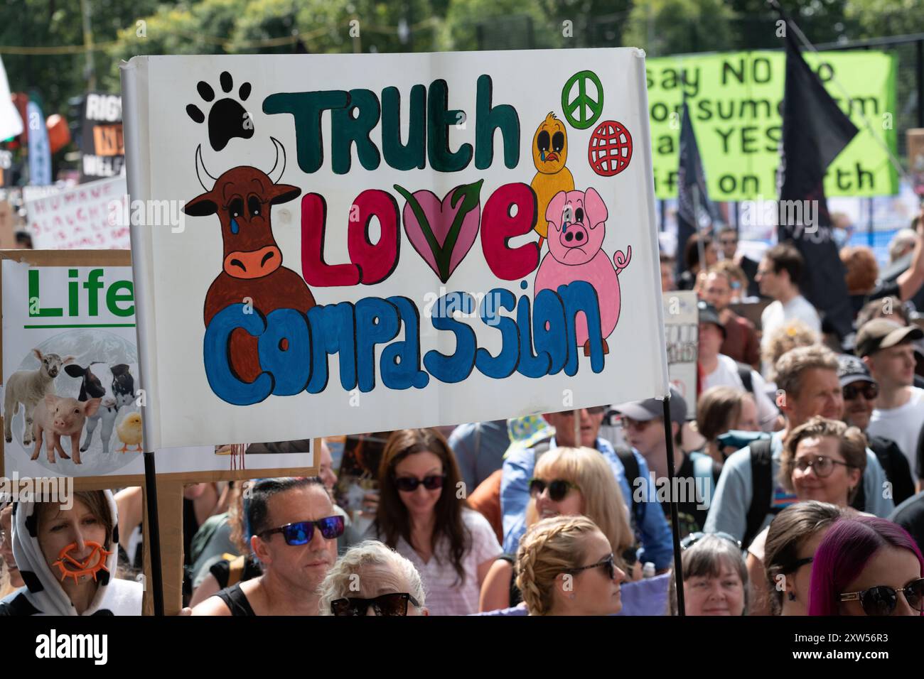National animal rights 2024 hi-res stock photography and images - Alamy