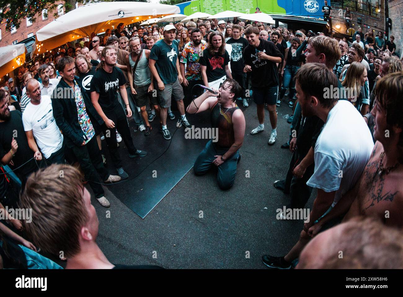 Copenhagen, Denmark. 15th, August 2024. The Danish punk band Syl ...