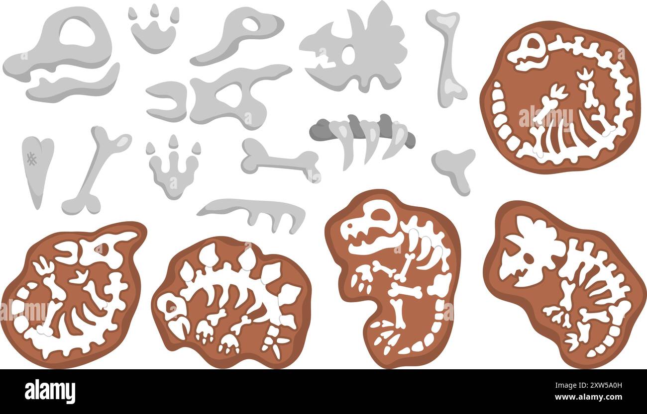 Vector dinosaur bones, skeletons and skulls set. Cute prehistoric ...