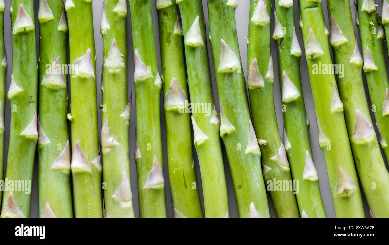 Stalks minerals hi-res stock photography and images - Alamy