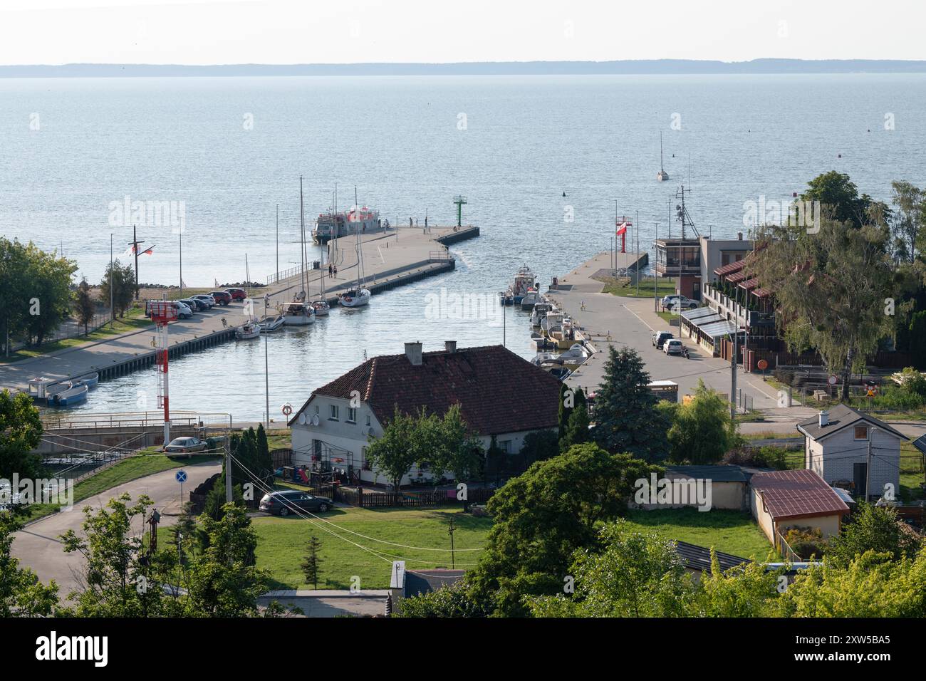 Back view of bird hi-res stock photography and images - Alamy