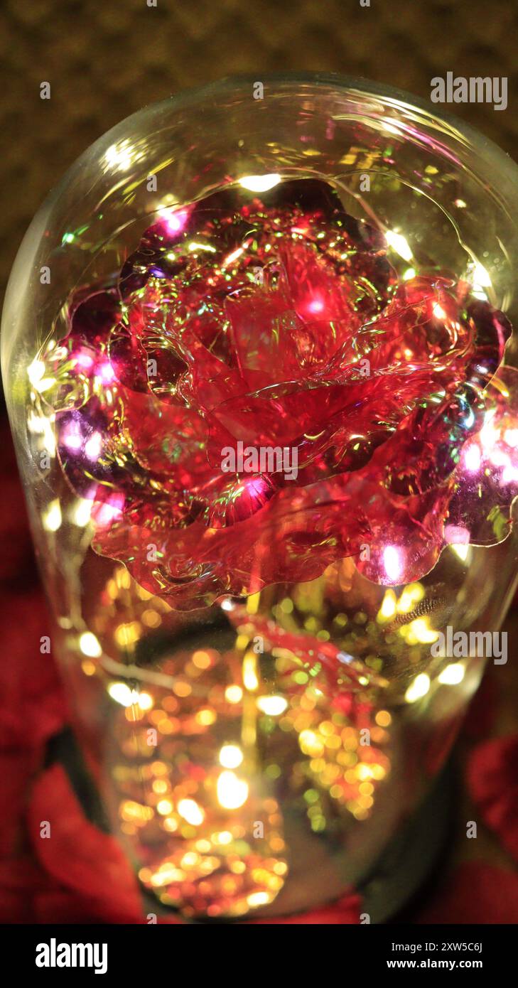 Brilliant flame red flowers hi-res stock photography and images - Alamy