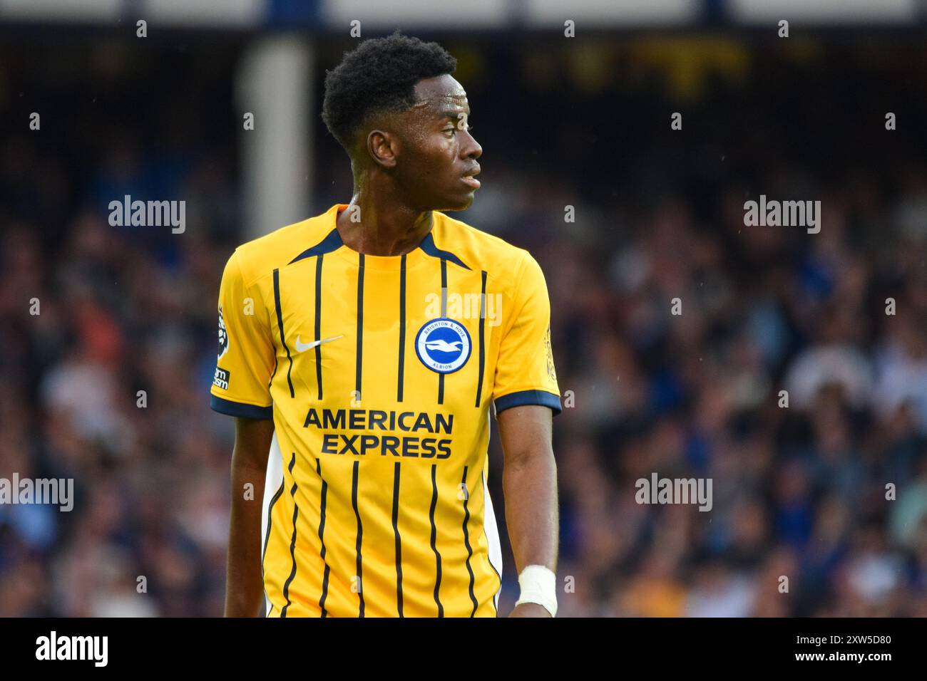 Simon adingra action 2024 hi-res stock photography and images - Alamy