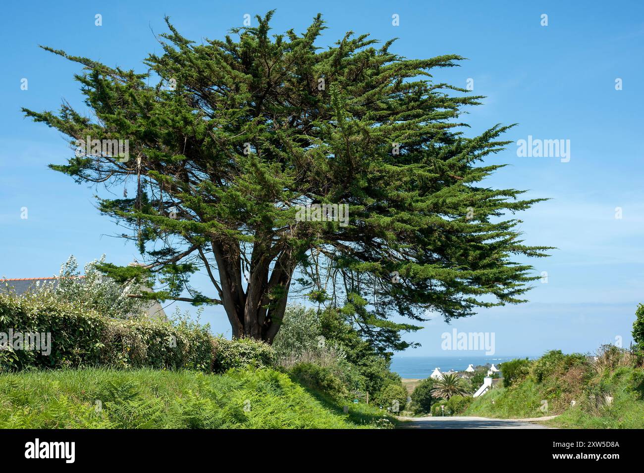 Ushant finistere brittany france hi-res stock photography and images ...
