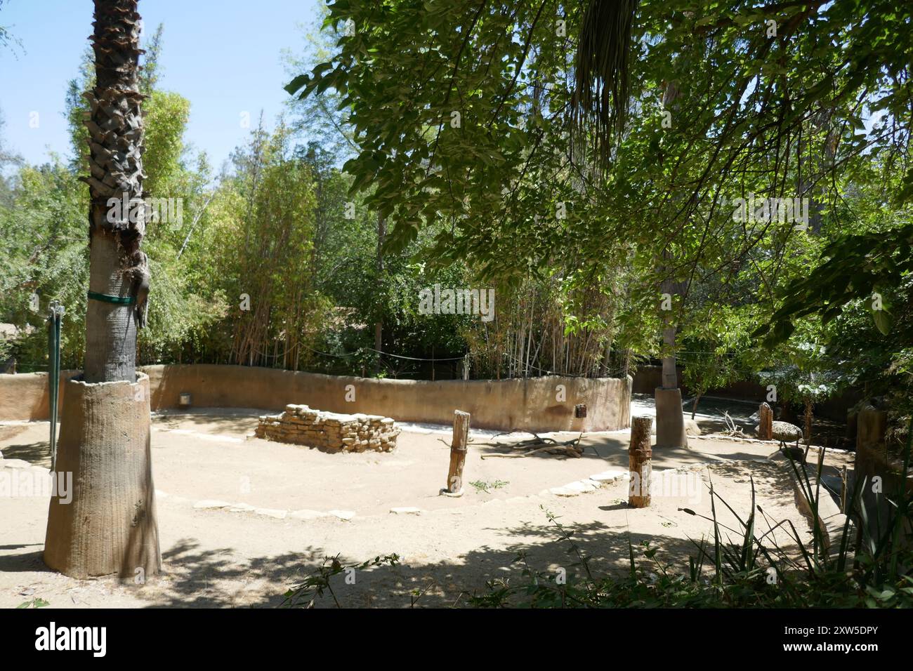 Los Angeles, California, USA 12th August 2024 Takin Habitat LA Zoo on ...