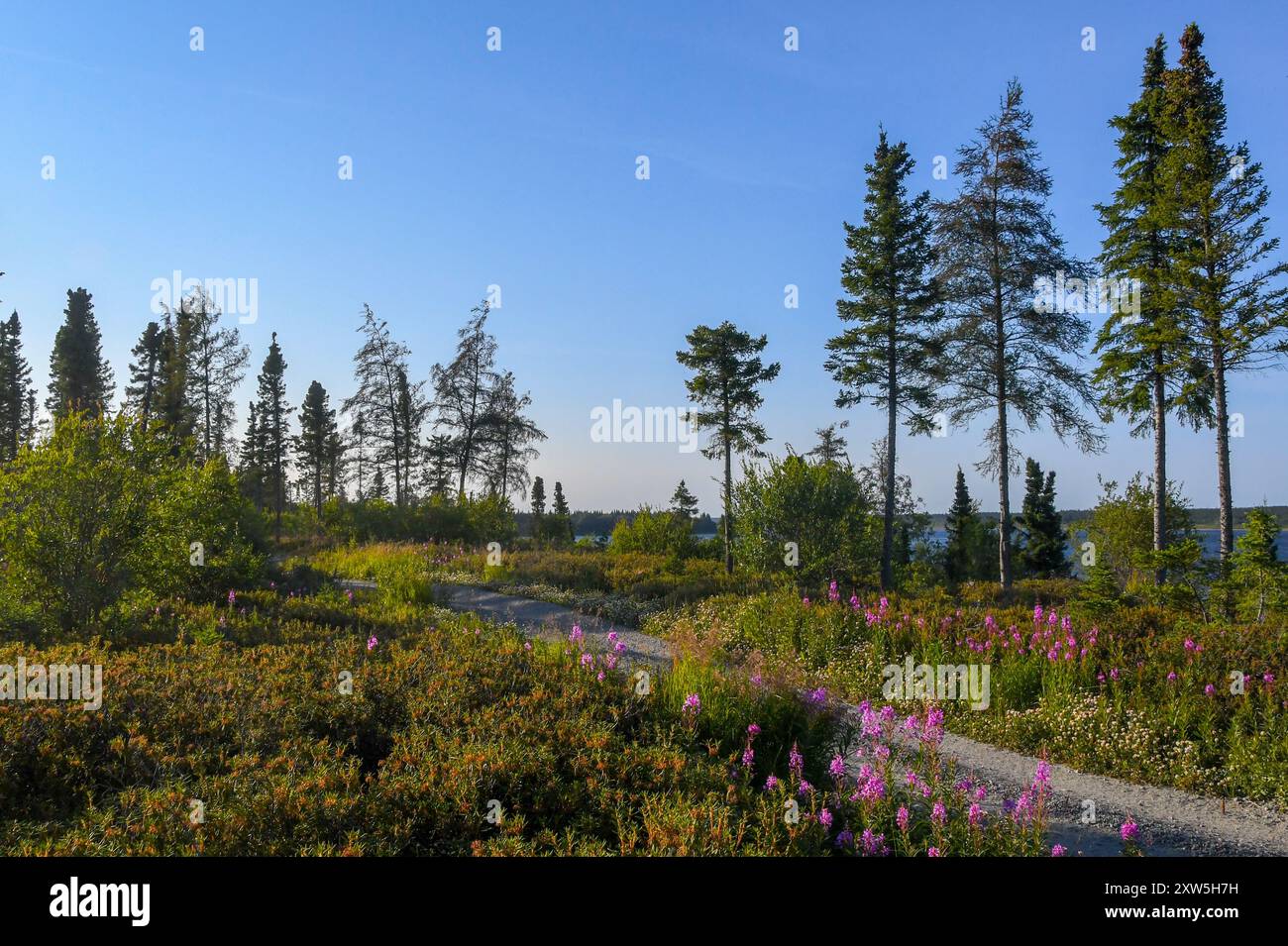 Path on La Grande river in the community of Chisasibi, Northern Quebec ...