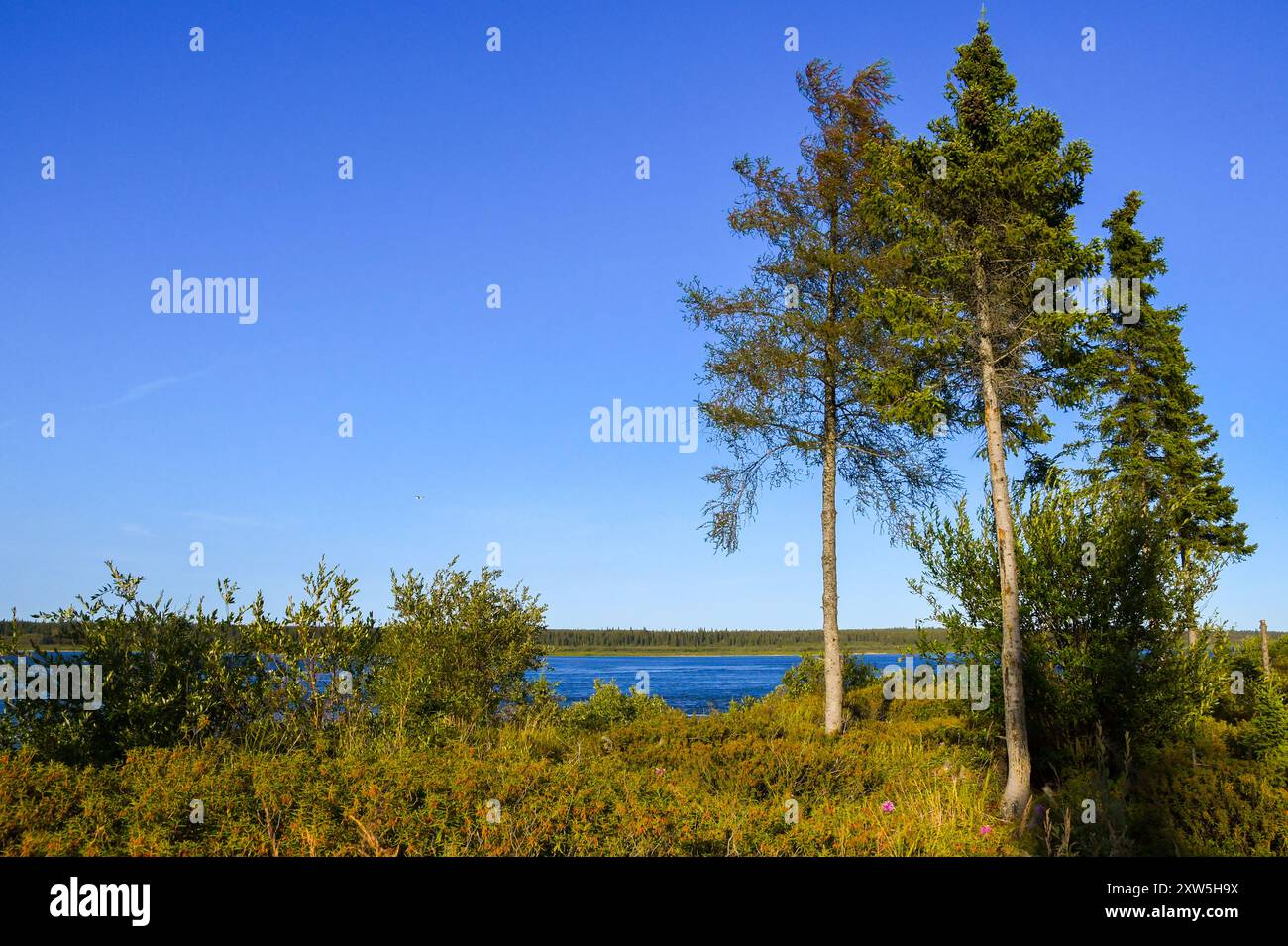 Path on La Grande river in the community of Chisasibi, Northern Quebec ...