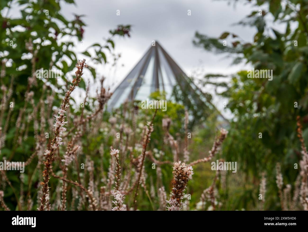 Woolbeding Glasshouse. Pyramid shaped modern conservatory designed by ...