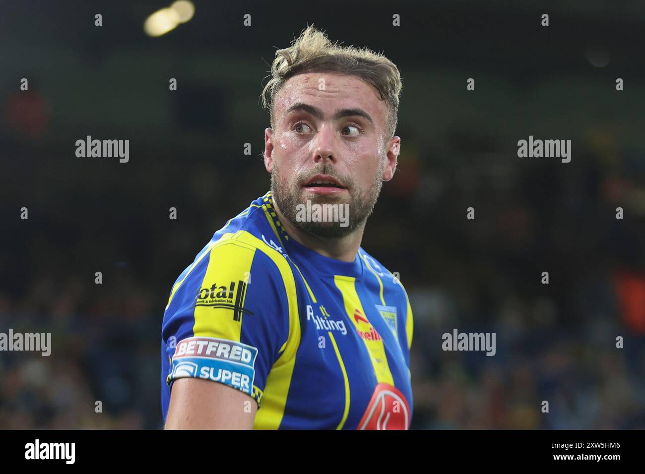 Wolves 2024 hi-res stock photography and images - Alamy