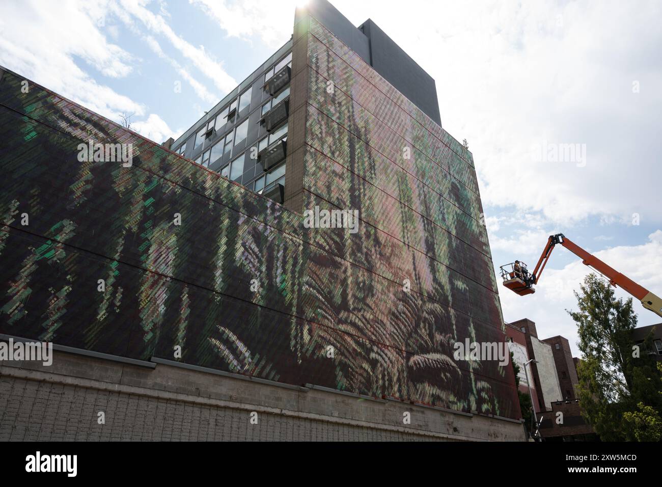Seattle, USA. 17th Aug 2024. The Belltown Mural Festival kicks off ...