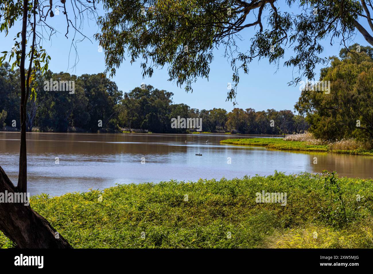 St george queensland hi-res stock photography and images - Alamy