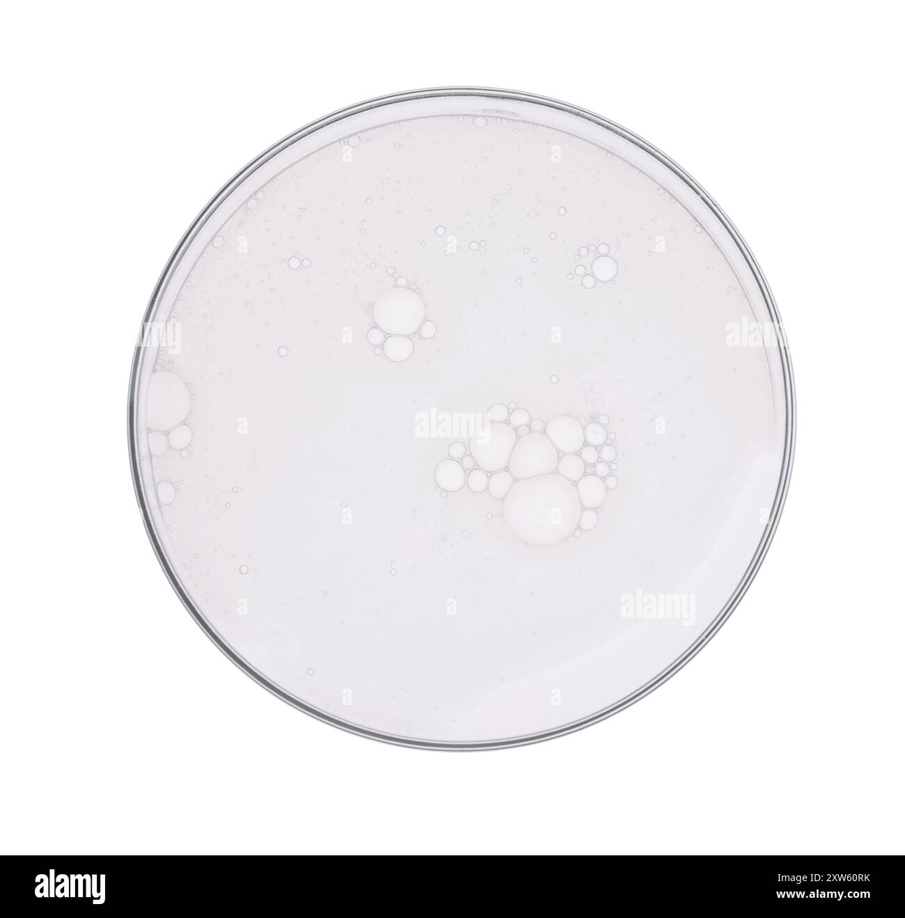 Petri dish with sample isolated on white Stock Photo - Alamy