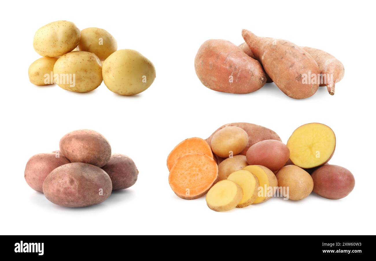 Different types of potatoes isolated on white, collection Stock Photo ...