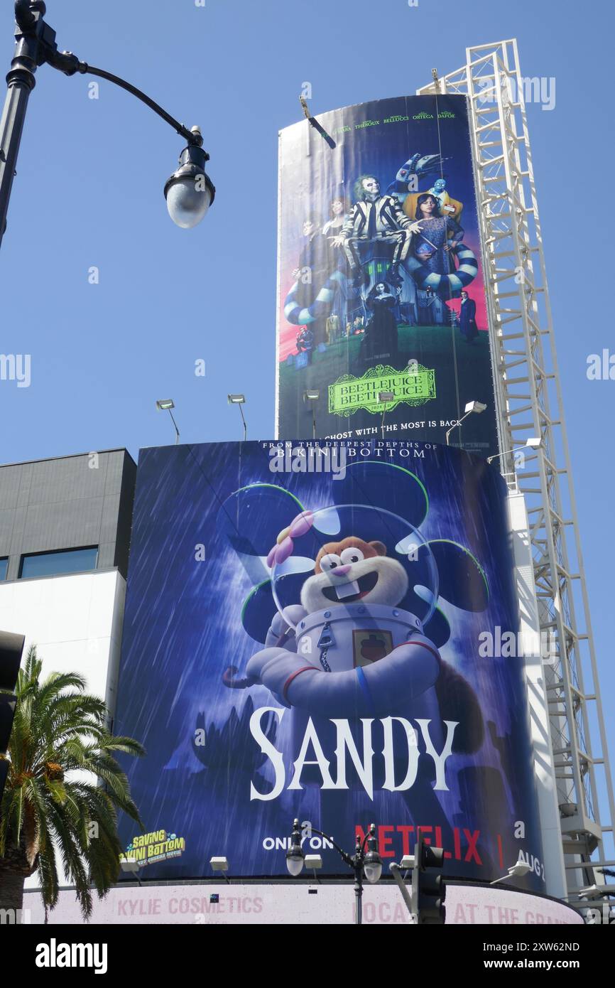 Los Angeles, California, USA 14th August 2024 Tim Burton Beetlejuice ...