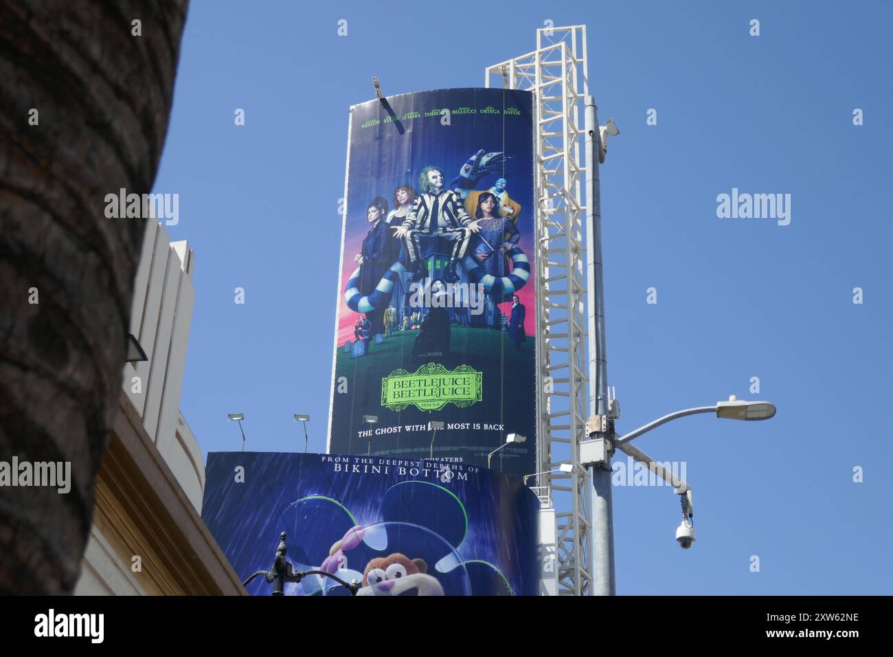 Los Angeles, California, USA 14th August 2024 Tim Burton Beetlejuice ...