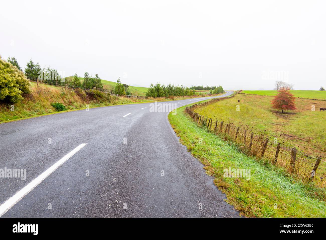 Buckland Road in Matamata - New Zealand Stock Photo - Alamy