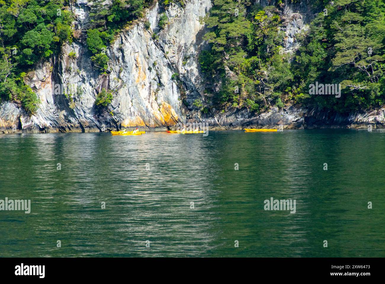 Kayaking in Milford Sound - New Zealand Stock Photo - Alamy