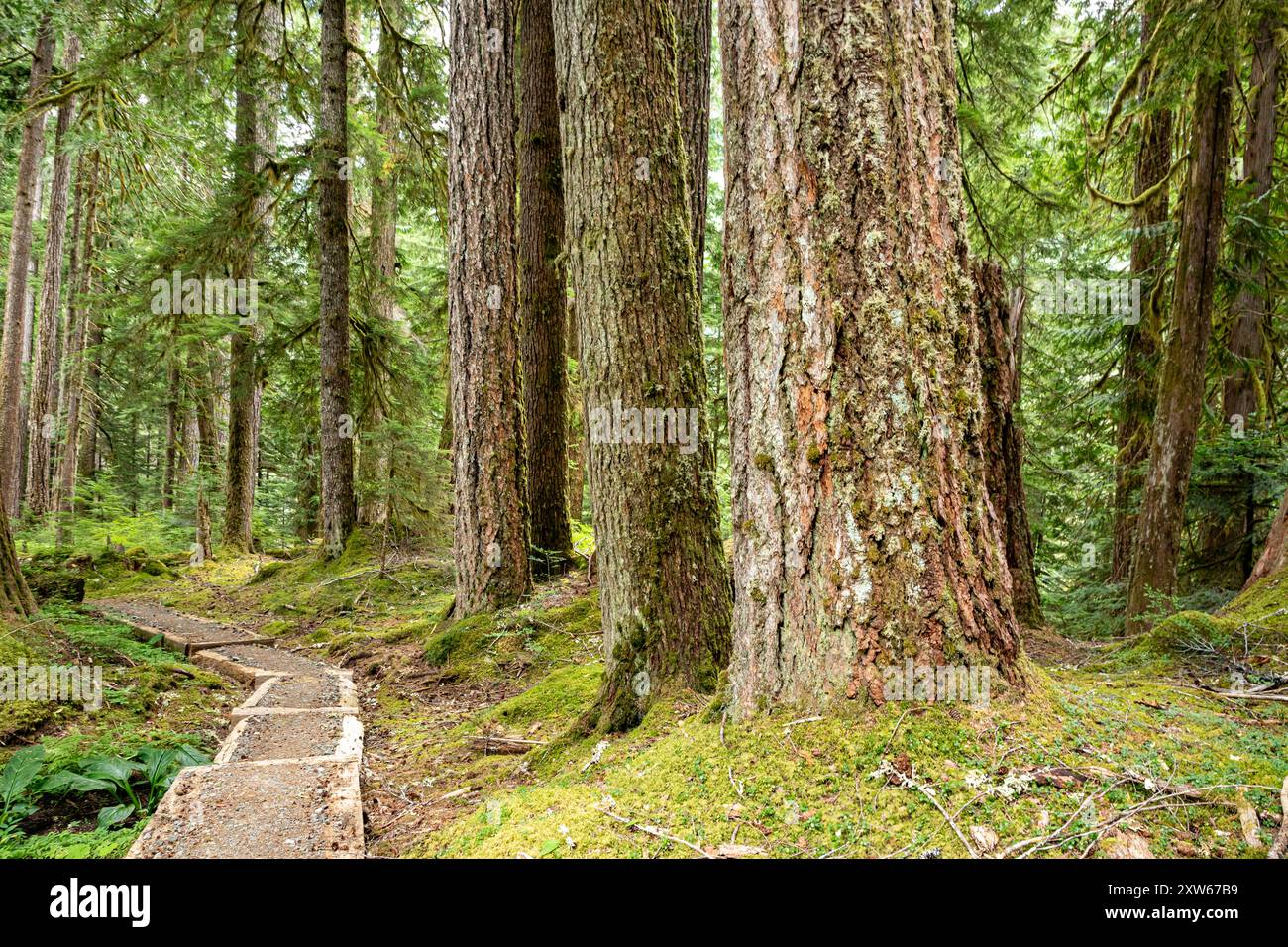 Above olympic hotsprings hi-res stock photography and images - Alamy