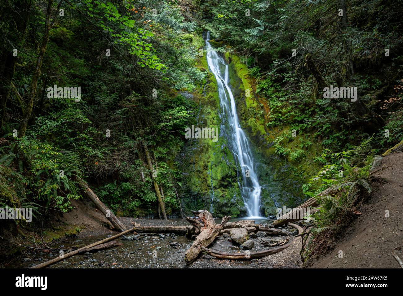 WA25600-00...WASHINGTON - Madison Falls in the Elwha River Valley of ...