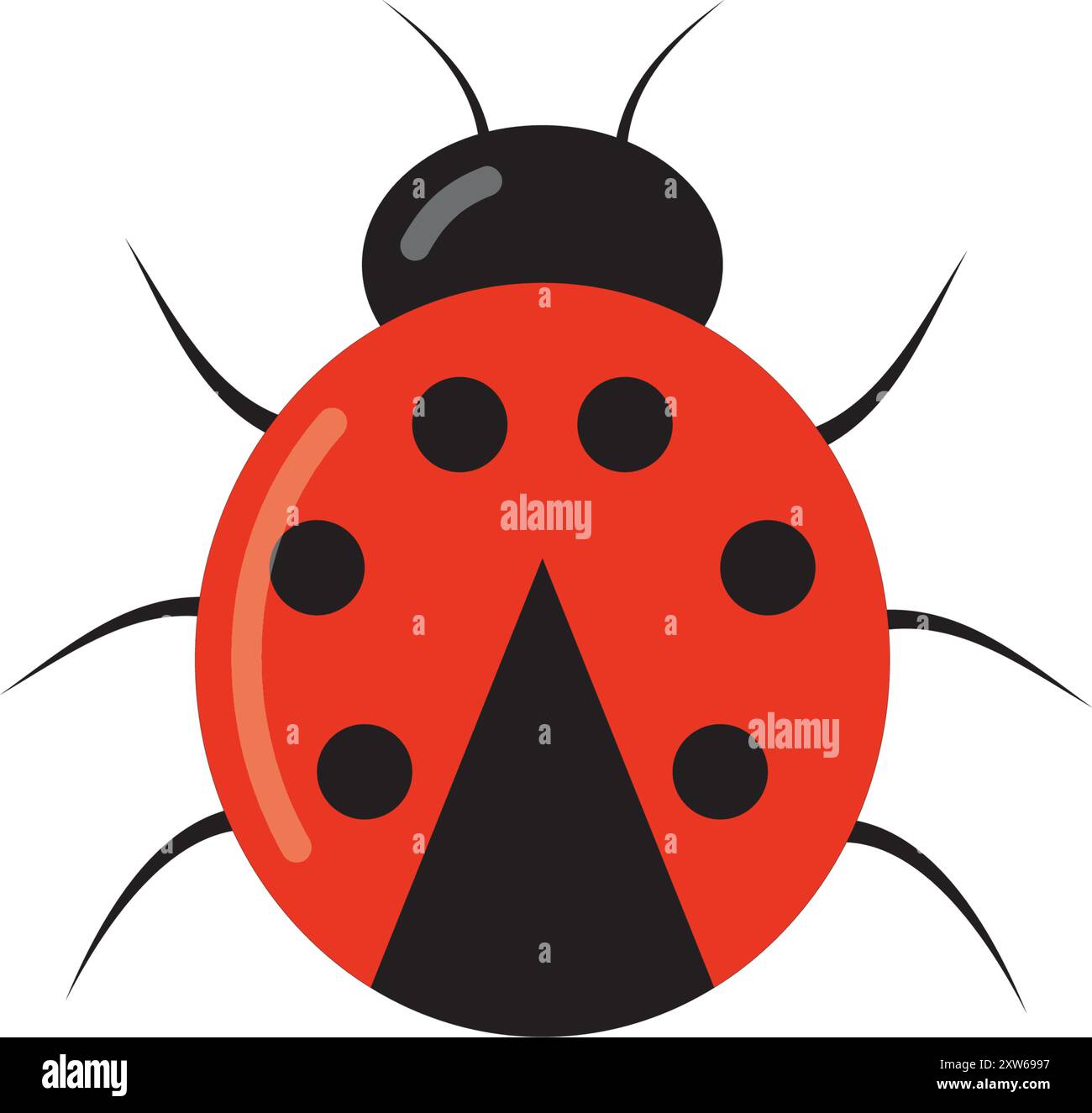 Ladybug cute character. Little red ladybird. Vector isolated on white ...